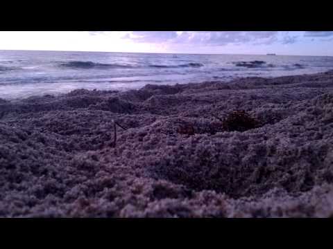 A crabby person next to me on beach in Lauderdale