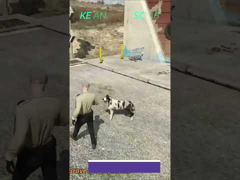 Advanced Pet Script | With Pet Shop and Actions | K9 Integration | 2024
