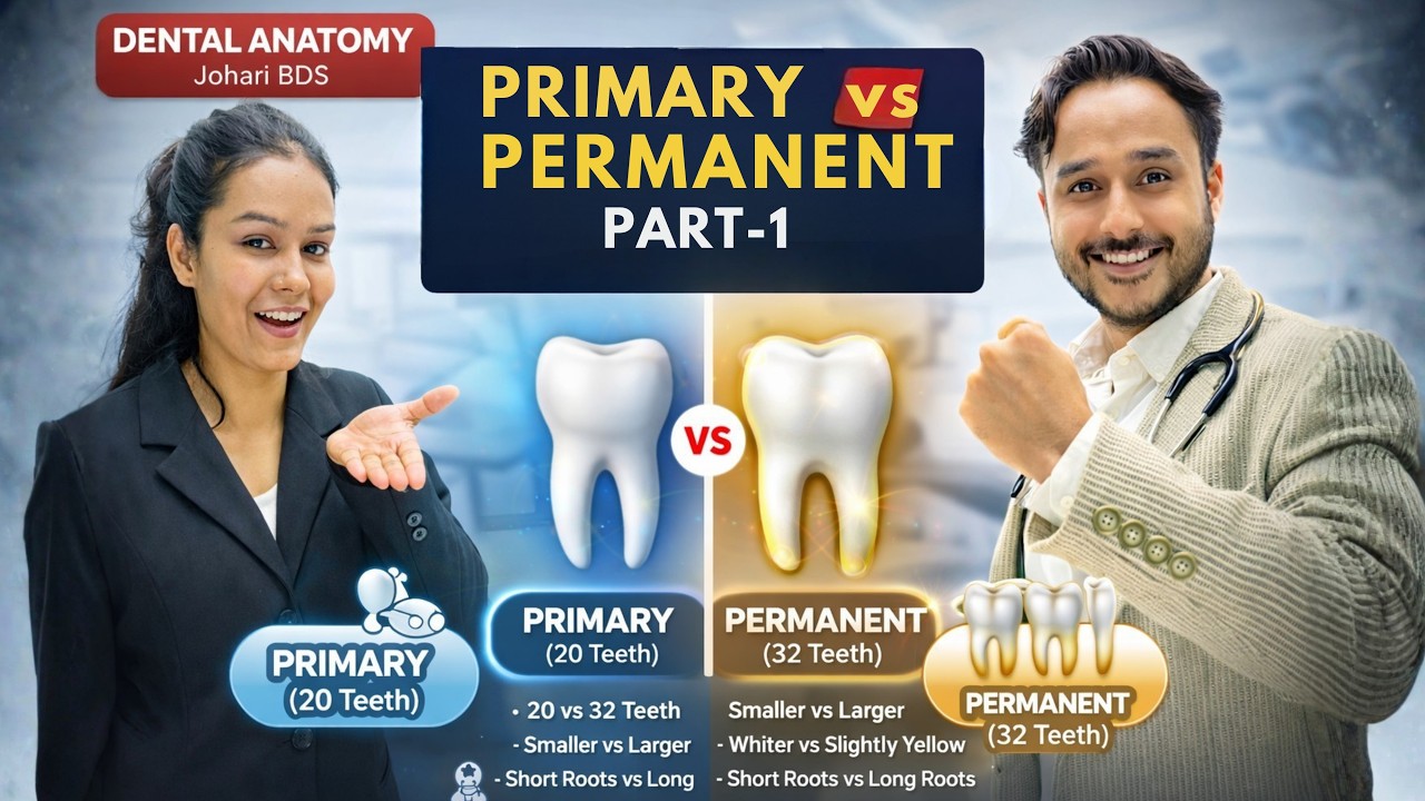 Primary vs Permanent Dentition | Part 1 | Dental Anatomy | Johari BDS