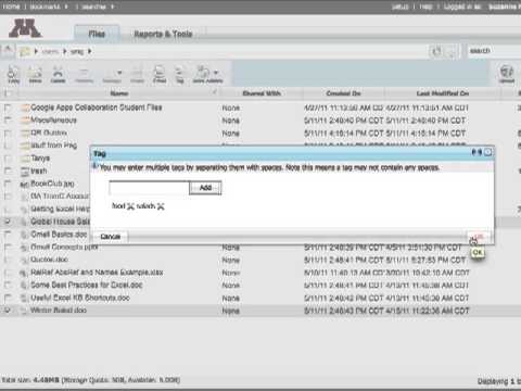 NetFiles Overview: Video 7 - Customizing & Versioning