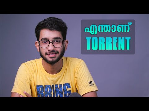 Things You Should Know About Torrent !