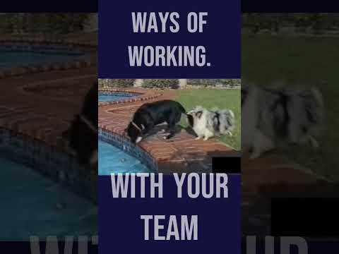 Teamwork Meme Ways of working with your teaM