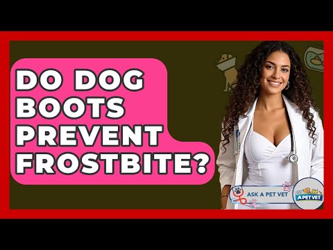 Do Dog Boots Prevent Frostbite? - Ask A Pet Vet