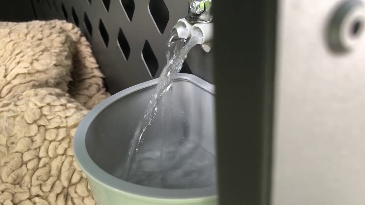 Impact crate water bowl filling system