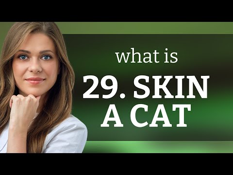 Unraveling Idioms: Exploring "More Than One Way to Skin a Cat"