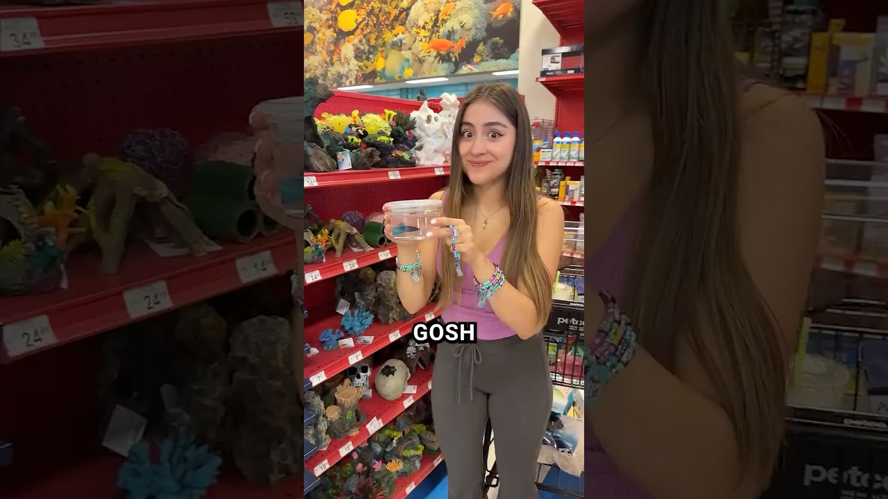 My Stickers Chose a PET for Me?! 😍🐠