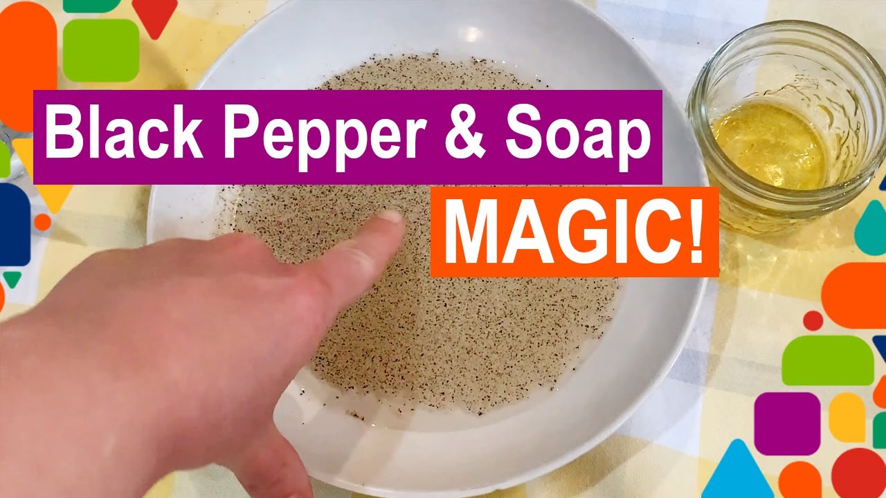 STEAM Activity: Black Pepper & Soap Magic