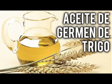 😉 Aceite de germen de trigo, mucho más que vitamina E