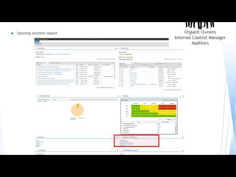 DEMO: SAP GRC Process Control, Integration with Risk Management. Riscomp / Full Screen Mode