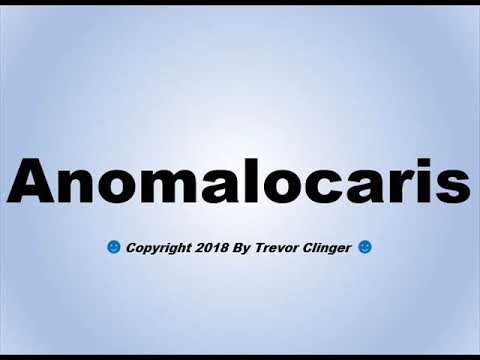 How To Pronounce Anomalocaris
