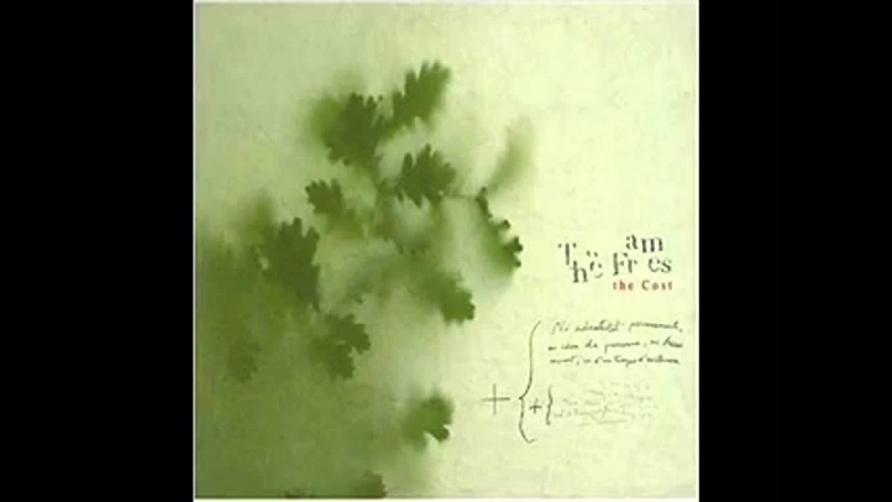 The Frames - True (with lyrics)