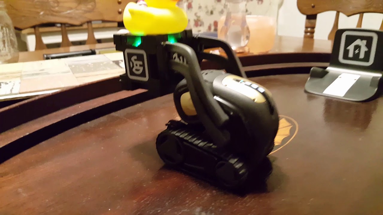 Anki Vector picks up his cube, duck and all