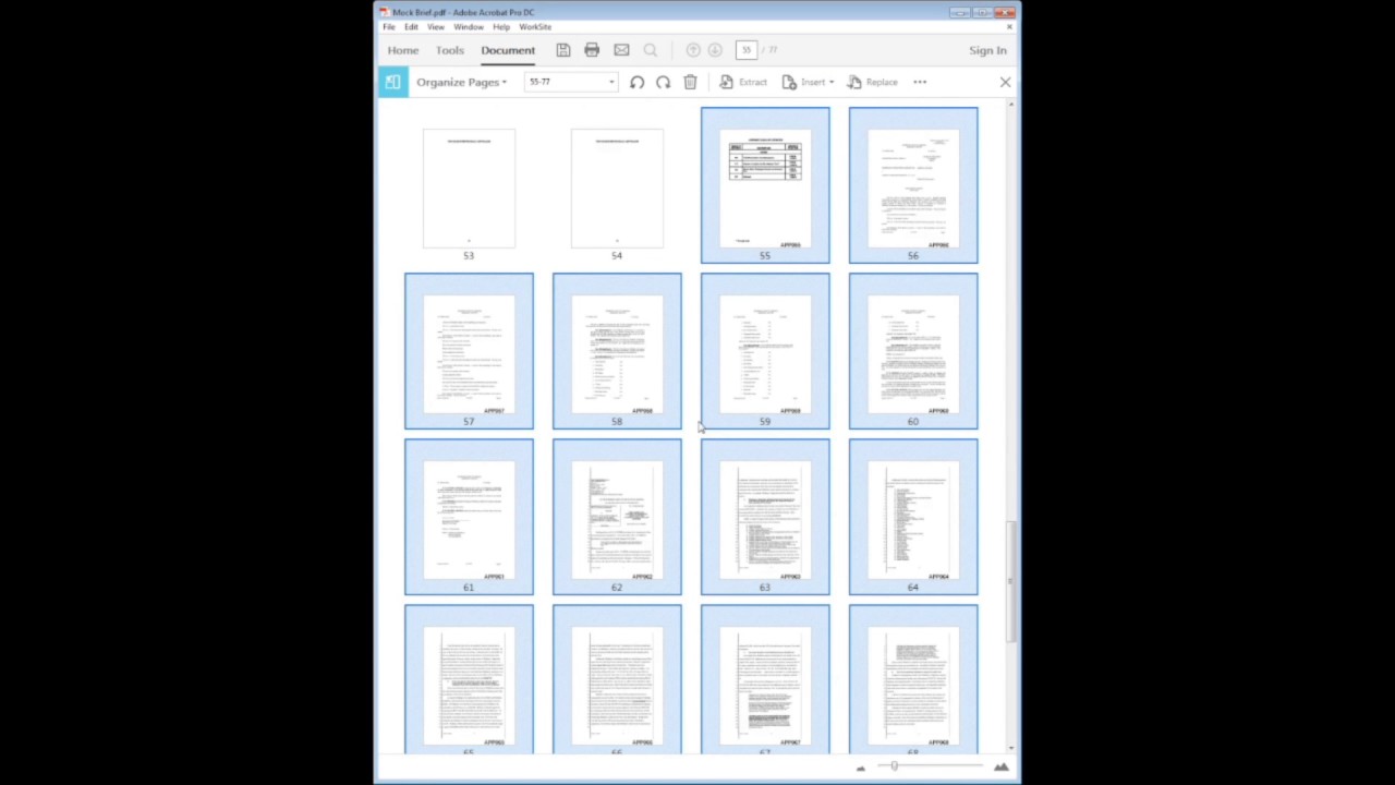 How to Combine a Brief and Appendix