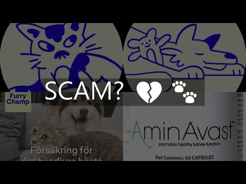 furrychamp com review is furrychamp com legit or scam