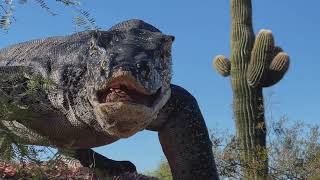 Dinosaurs in the Desert Member Preview