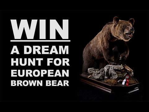 First Class Trophy Taxidermy