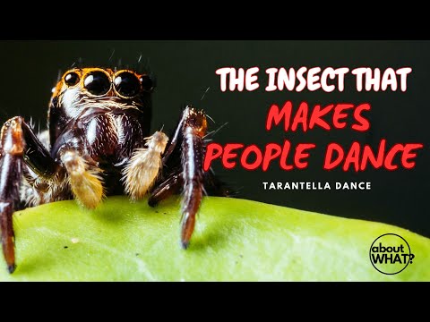 Tarantella Dance! | The origin of the tarantella dance