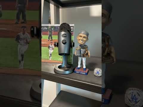 New Podcast Microphone