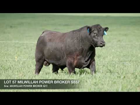 LOT 57 MILWILLAH POWER BROKER S557