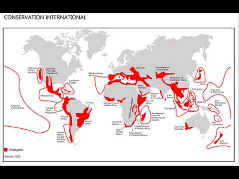 What is a Biodiversity Hotspot