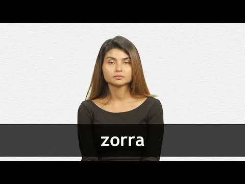 English Translation of “ZORRA” | Collins Spanish-English Dictionary