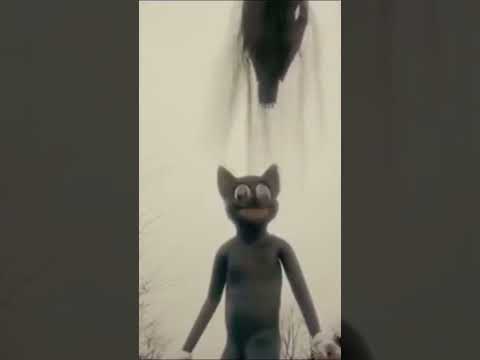 long horse snapped cartoon cats neck