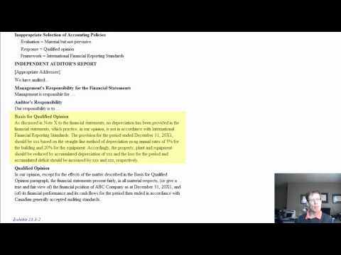 Lesson 5B: Auditor Report Reservations