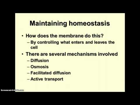 The Working Cell - Diffusion & Osmosis