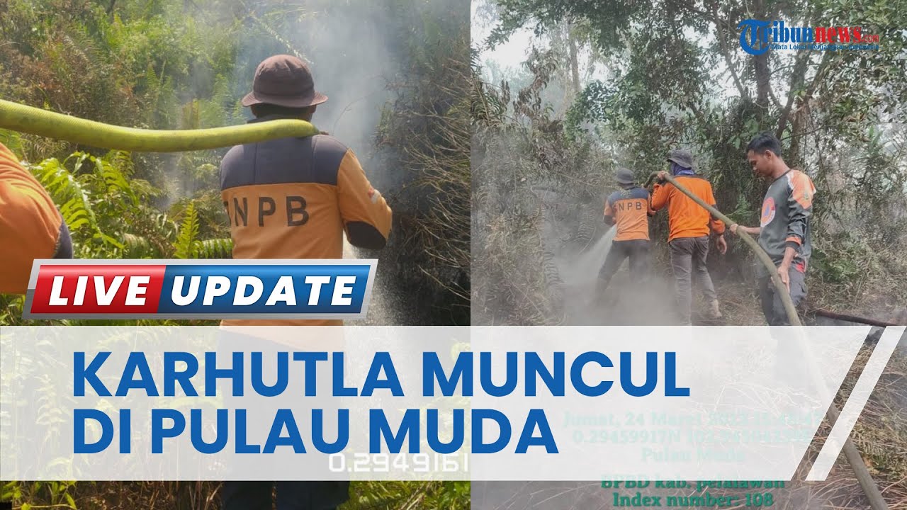 Karhutla Akhirnya Muncul di Pulau Muda Pelalawan Pertama Kalinya di ...
