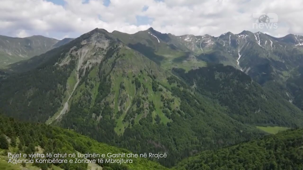 Top News/ Mbrohen nga UNESCO, pamje nga pyjet në luginën e Gashit dhe ... Top News/ Mbrohen nga UNESCO, pamje nga pyjet në luginën e Gashit dhe ...