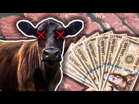 YOUR MEAT PROCESSING OPTIONS EXPLAINED. | USDA CUSTOM, STATE Meat Monopoly and Farming BEEF Butcher