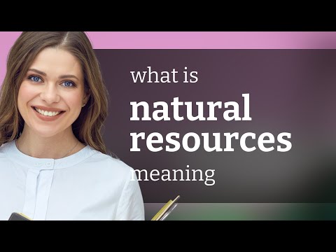 Natural resources | NATURAL RESOURCES meaning