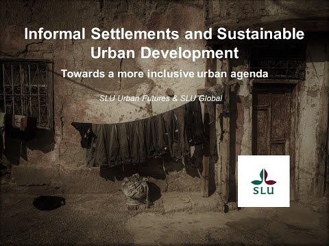 Informal Settlements and Sustainable Urban Development: Towards a more inclusive urban agenda