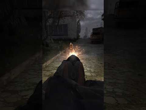Most dangerous mutant in the Zone... #stalker #gaming