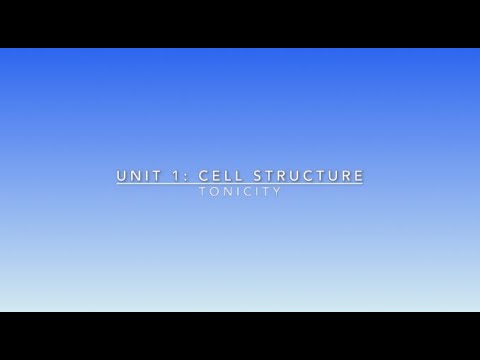 Tonicity | Lime the Tutor | Premed Anatomy and Physiology