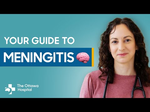Your guide to meningitis 🧠