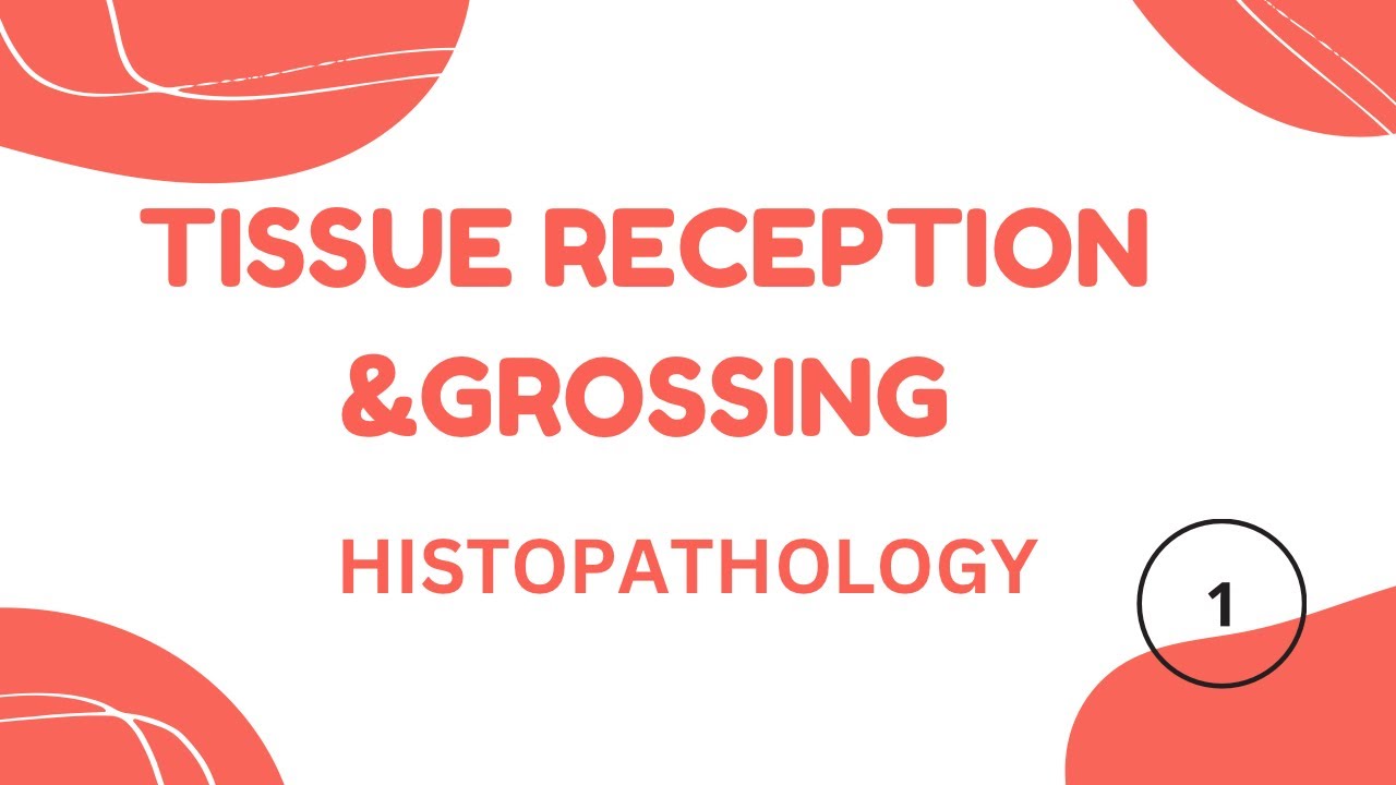 Histopathology part 2 | Tissue Receiption | Grossing