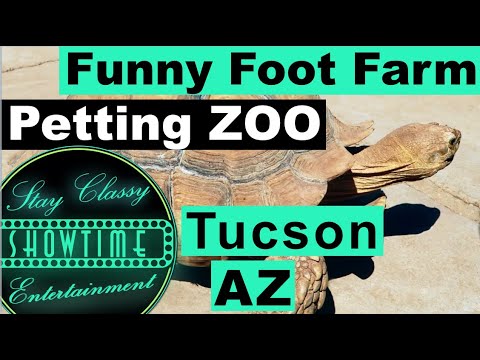 Funny Foot Farm Petting Zoo Tucson, AZ