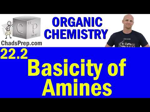 22.2 Basicity of Amines | Organic Chemistry