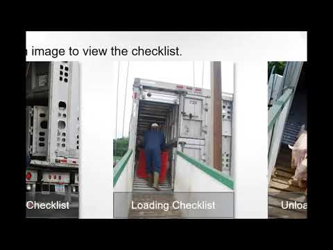 Webinar #5—Training and Health of Show Pigs