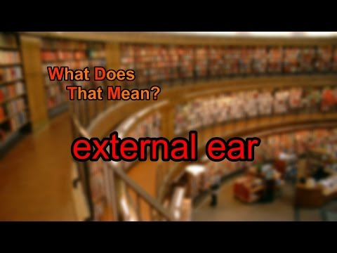 What does external ear mean?
