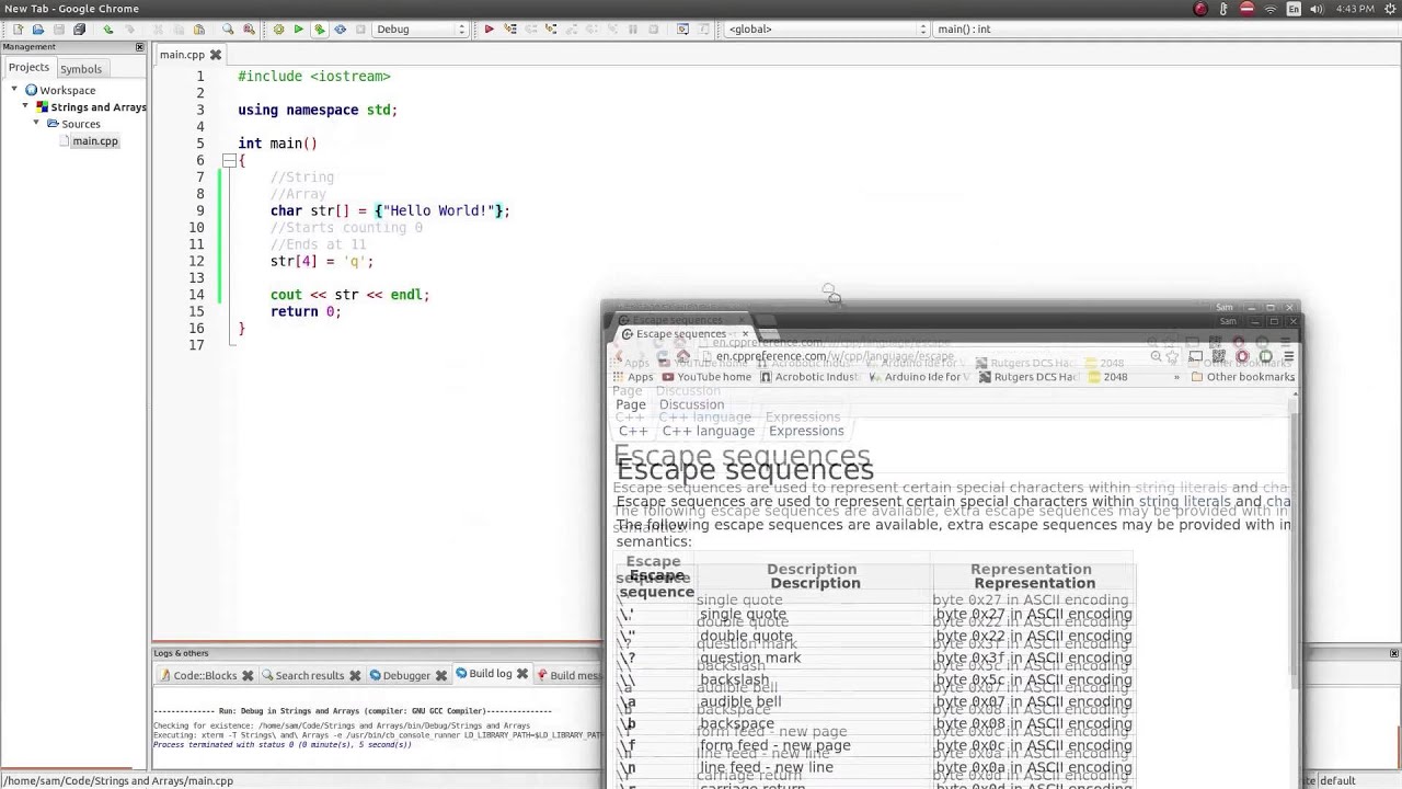 Strings & Arrays in Programming