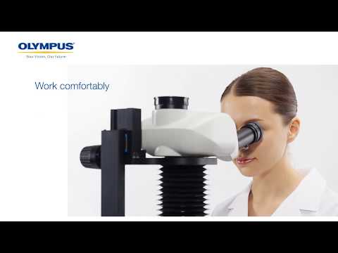 Olympus Stereo Microscopes | Work Comfortably