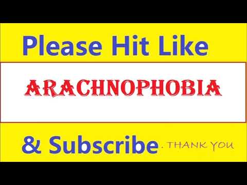 HOW TO PRONOUNCE Arachnophobia