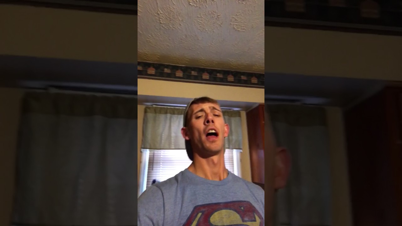 Get a dog they said it will be fun they said