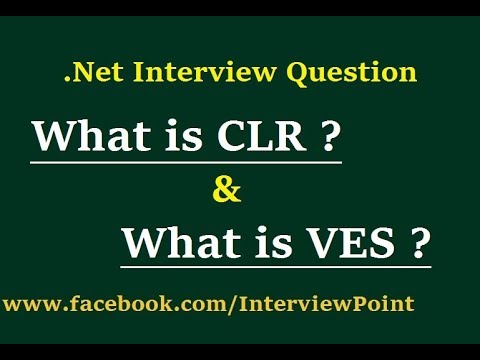 What is CLR in .Net || What is VES in .Net & Role Of CLR D K Gautam || Interview Question