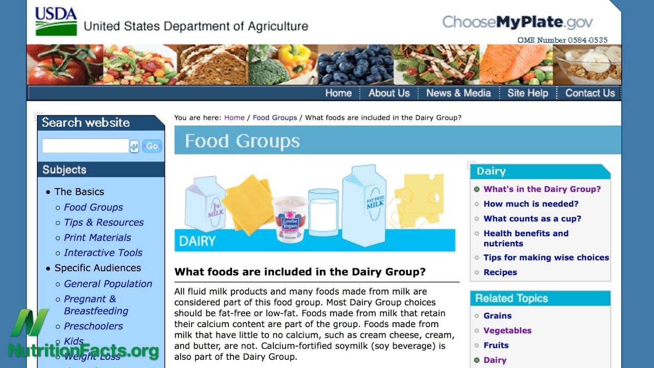 Dietary guidelines: progressing from pyramid to plate