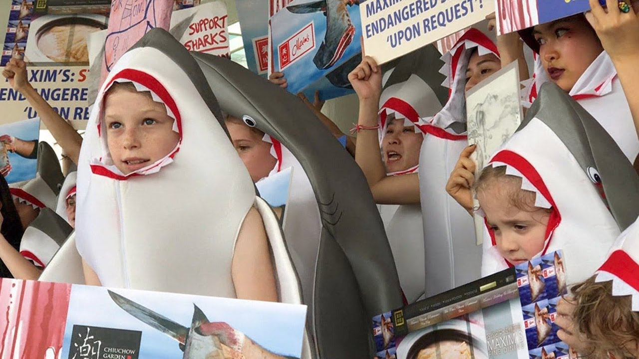 Footage: Popular Hong Kong restaurant encircled by shark fin protesters