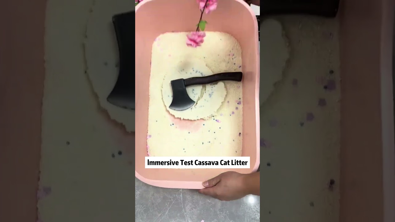 Cassava cat litter test. Cassava cat litter recommendation. Cheap cat litter #catlitter #cat #pets
