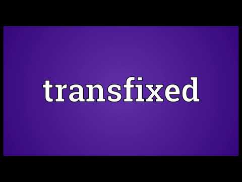 Transfixed Meaning